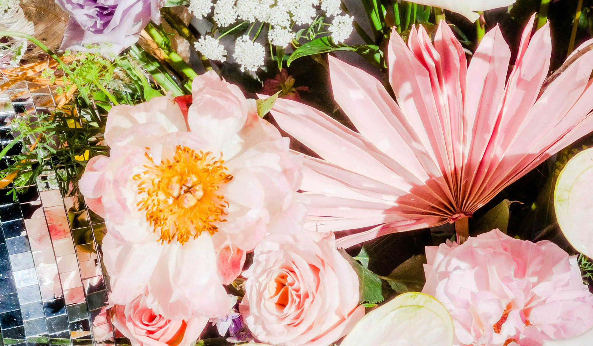 Friendly House Board of Directors